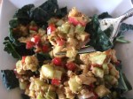 Recipe: Erica Stenz’s Healthiest Whole30-Approved Tuna Salad | Kinetic Fix